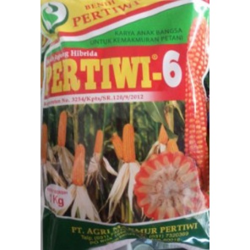 Jual benih Jagung Hibrida pertiwi 6 Jual benih Jagung Hibrida pertiwi 6
